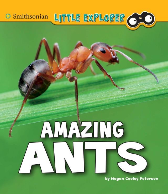 Amazing Ants - PChome 24h書店