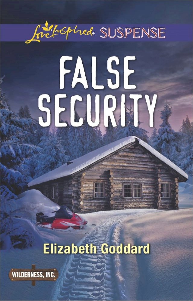False Security - PChome 24h書店