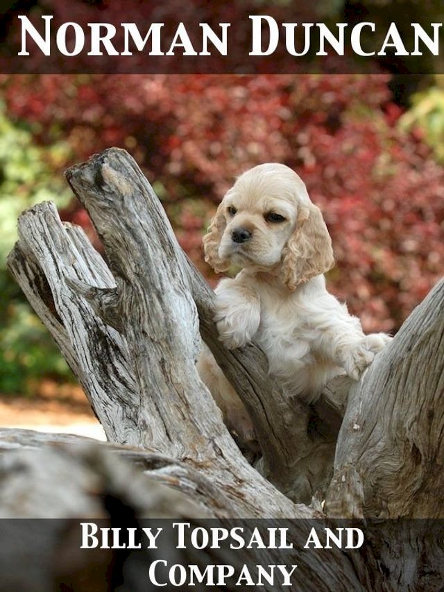 Billy Topsail and Company A Story for Boys - PChome 24h書店