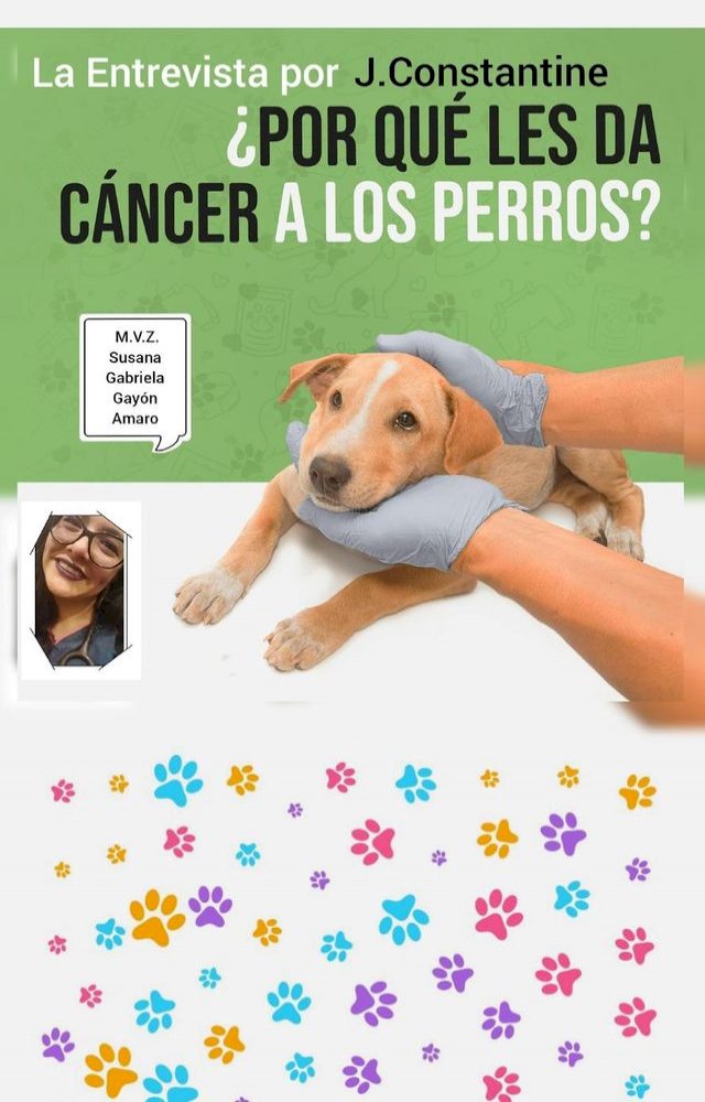 ¿Por qué les da Cáncer a los Perros? Entrevista - PChome 24h書店