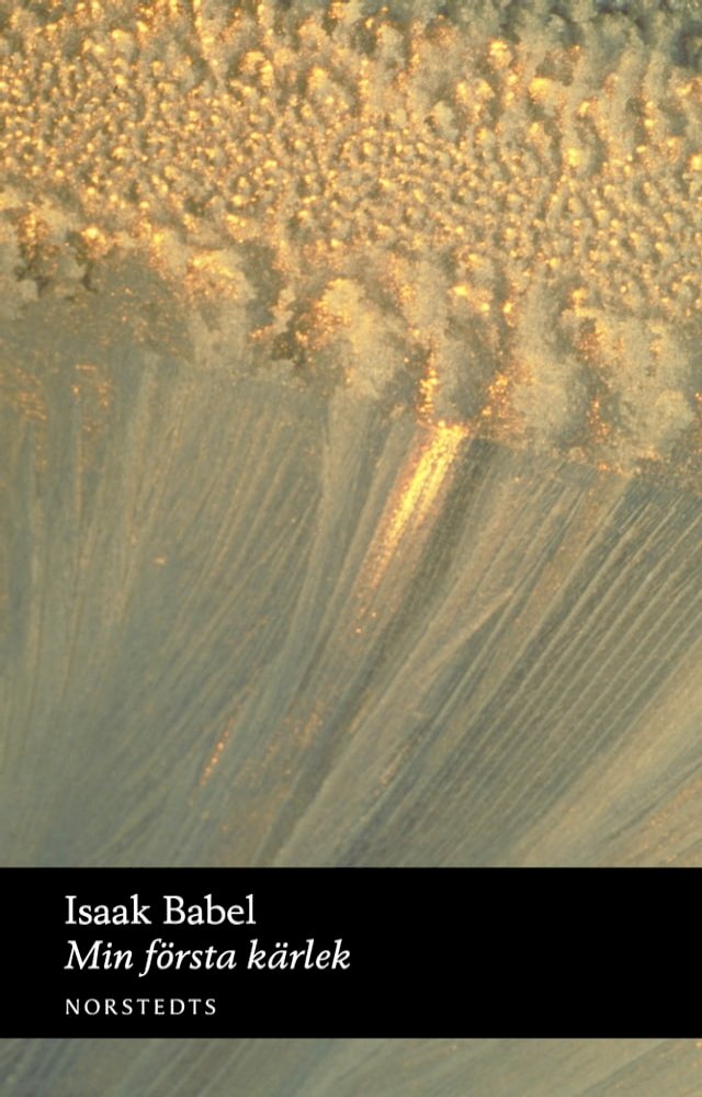 Min första kärlek - PChome 24h書店